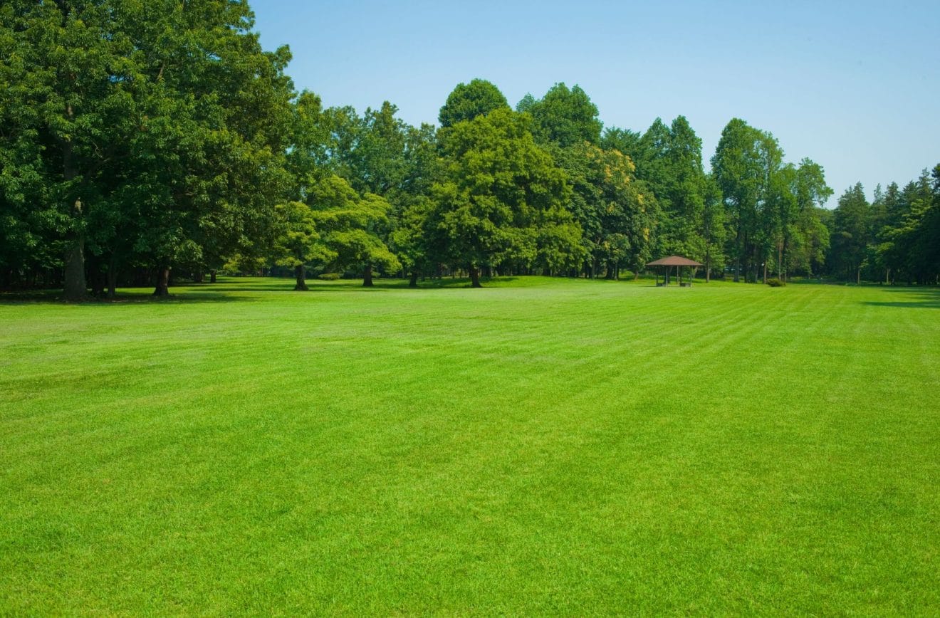 Transform Lawn Care with Robotic Mowers UK